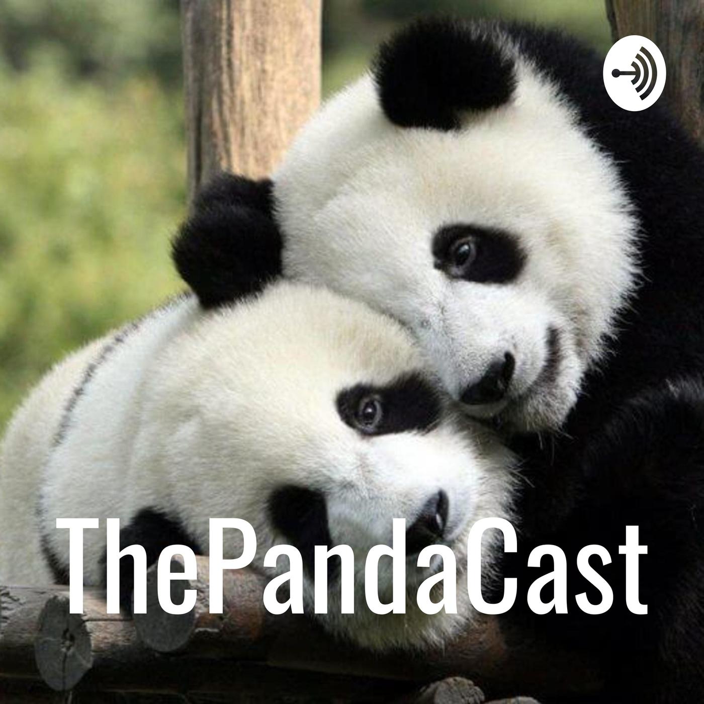 The Panda Cast Season 2, Ep 1- Hello Again ! - ThePandaCast (podcast ...