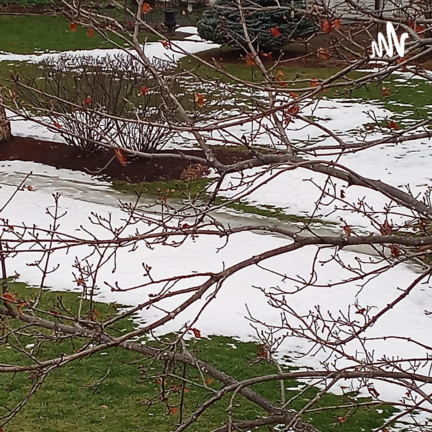 Storge, Eros, Phileo And Agape Forms Of Love. - Things That Matter For ...