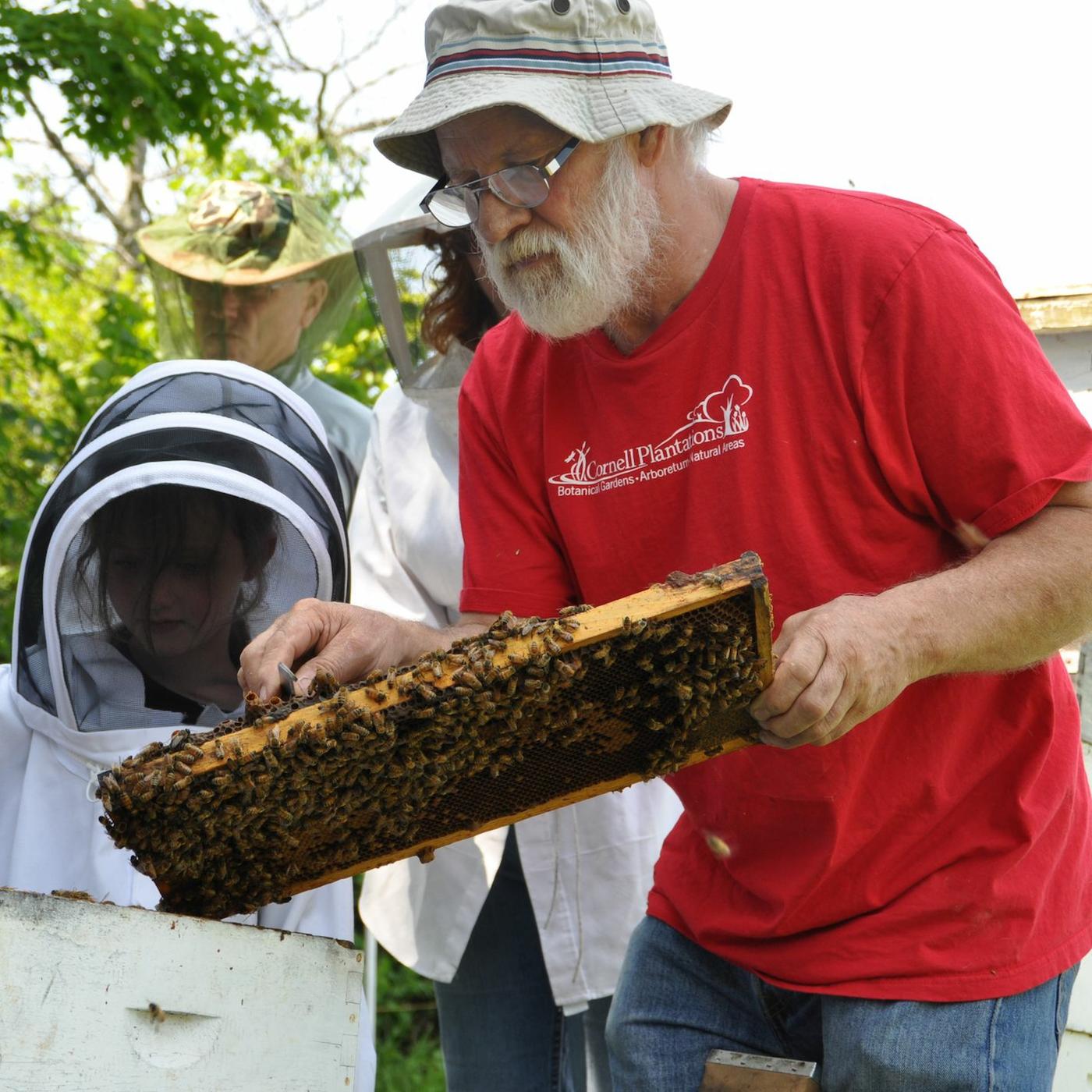Episode 6: Bill Mares - Thinking Bee Podcast - Beekeeping and ...