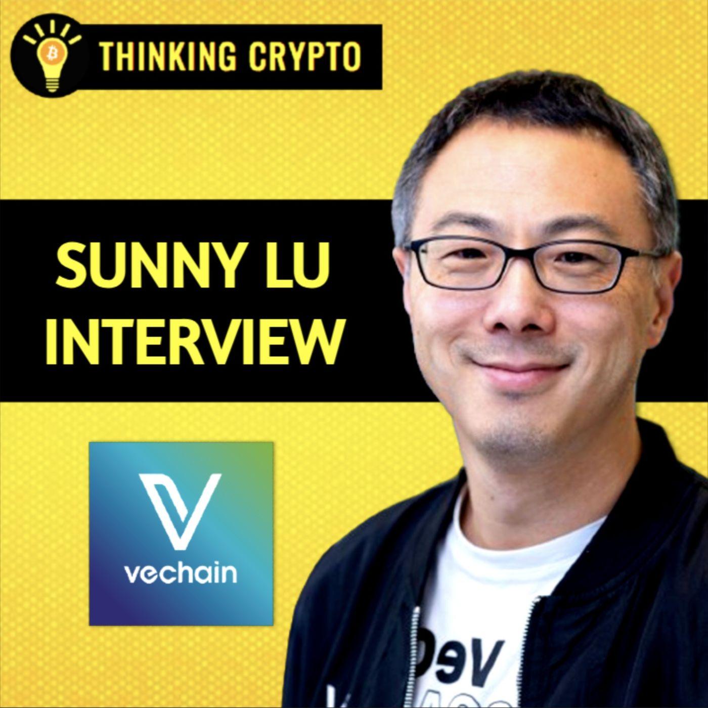 Sunny Lu Interview - VeChain's Massive Web3 Sustainability Plans! VET ...