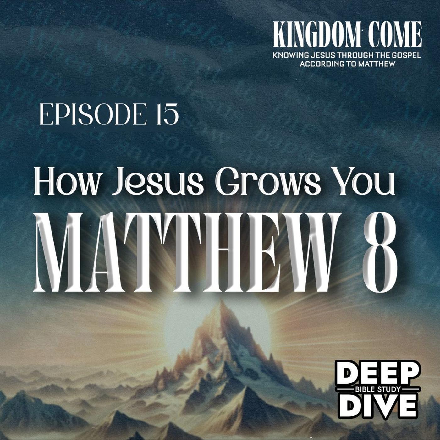 Matthew 8 - Six Stages of Discipleship from Unbelief to Mission ...