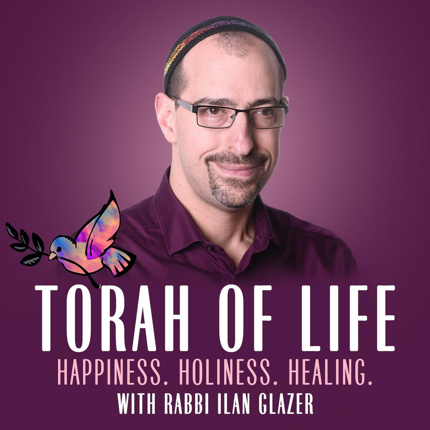 Torah of Life (podcast) - Rabbi Ilan | Listen Notes