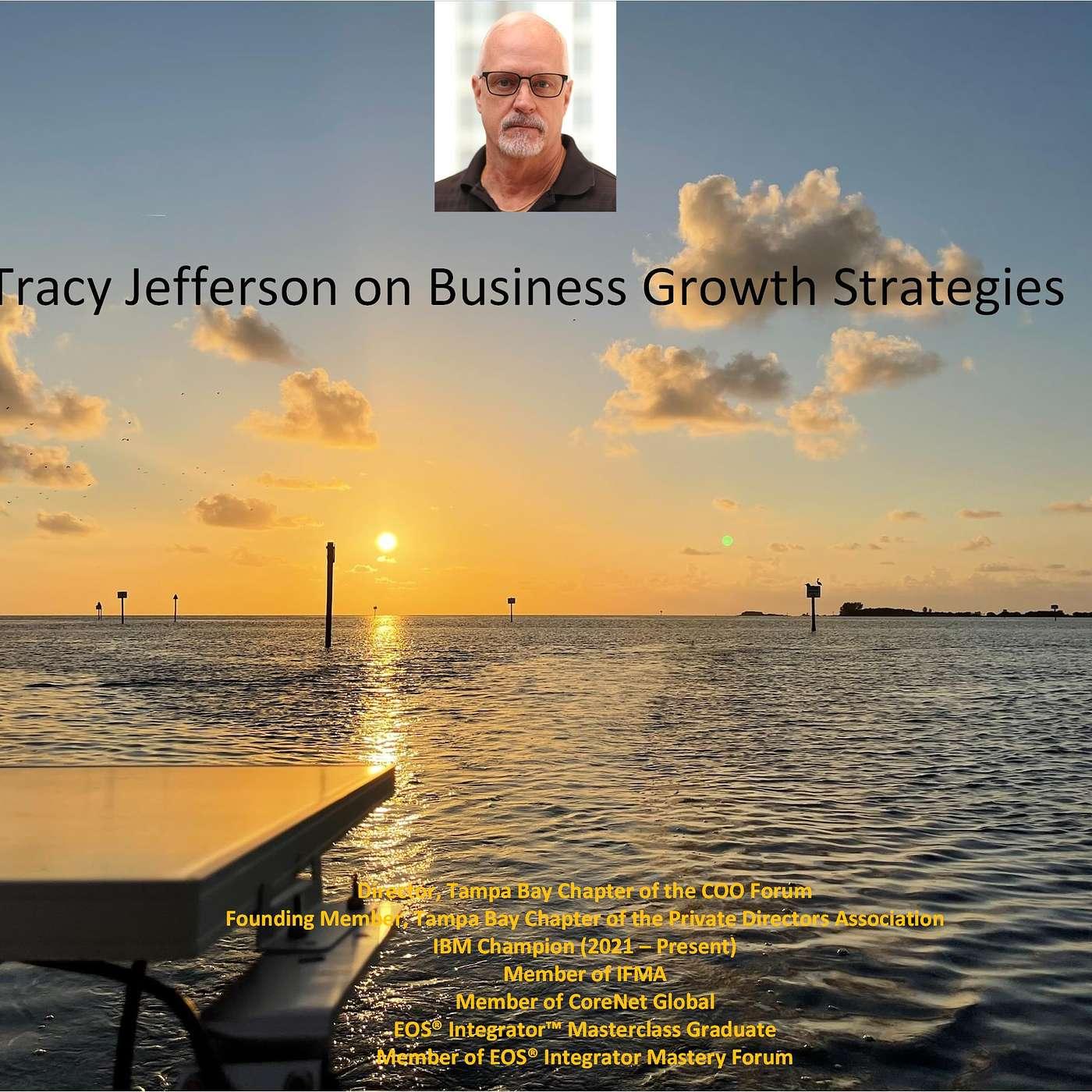 What is an Integrator™? - Tracy Jefferson on Business Growth Strategies ...