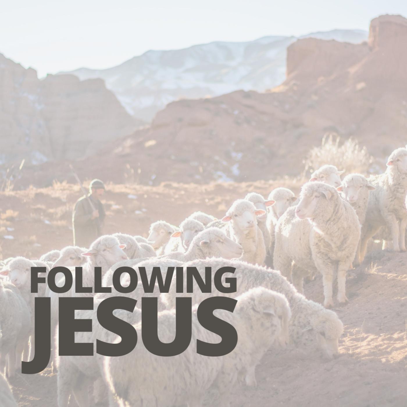 Following Jesus: What is a Church and Why Does it Matter? | Listen Notes