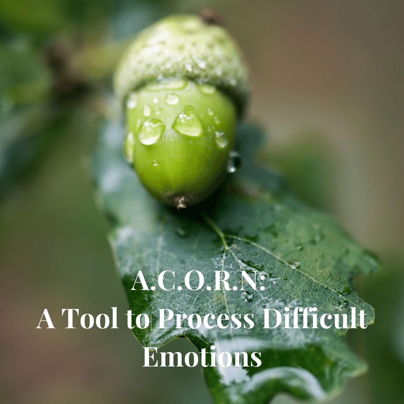 Episode 11: A.C.O.R.N: A tool to Process Difficult Emotions | Listen Notes