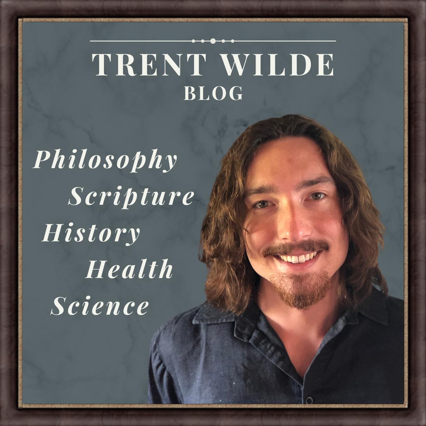 Mirrors of Self-Examination - Trent Wilde Blog (podcast) | Listen Notes