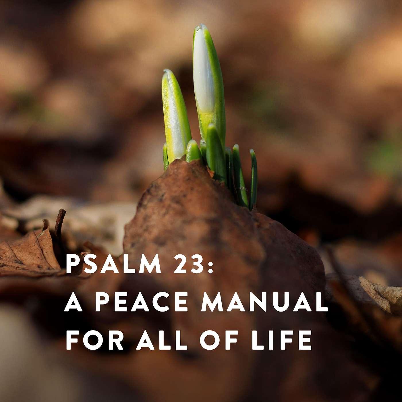 Psalm 23: A Peace Manual for All of Life | Psalm 23:1–6 » March 15 ...
