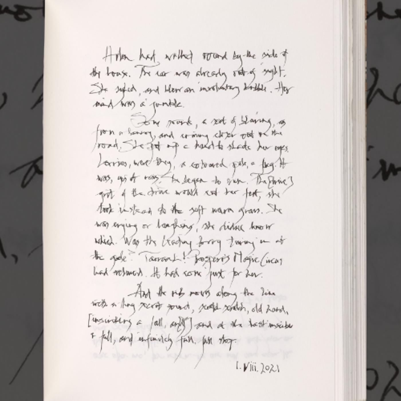 An Infinitely Full Stop: Mark O’Connell and Chris Morash Discuss John ...