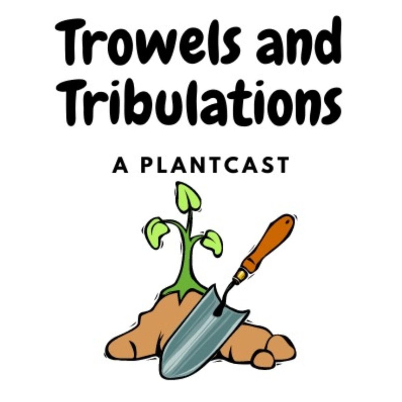E25 Tree climbing with Jessica Herbert - Trowels and Tribulations ...