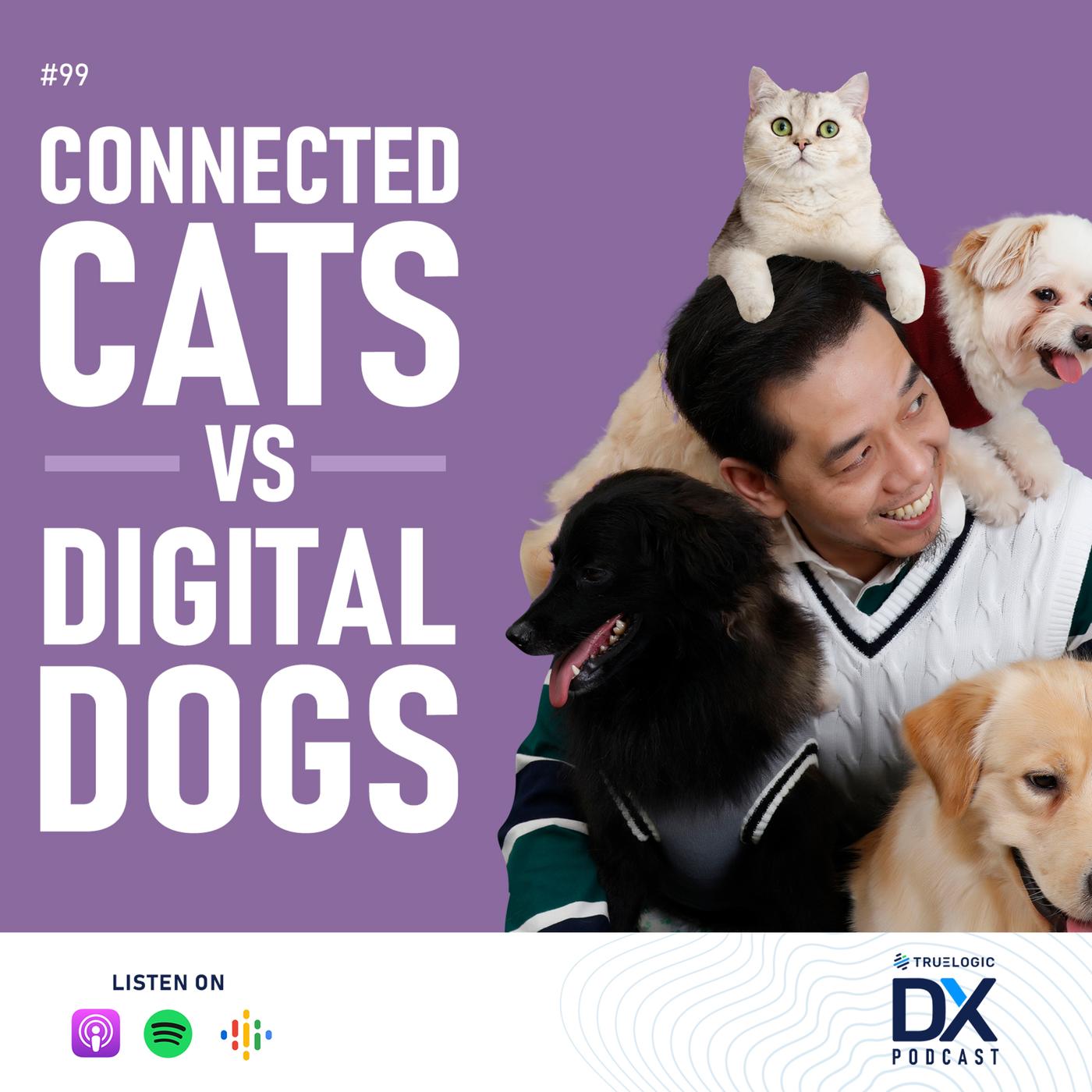 Ep. 99: Connected Cats vs Digital Dogs - Truelogic DX Podcast | Listen ...