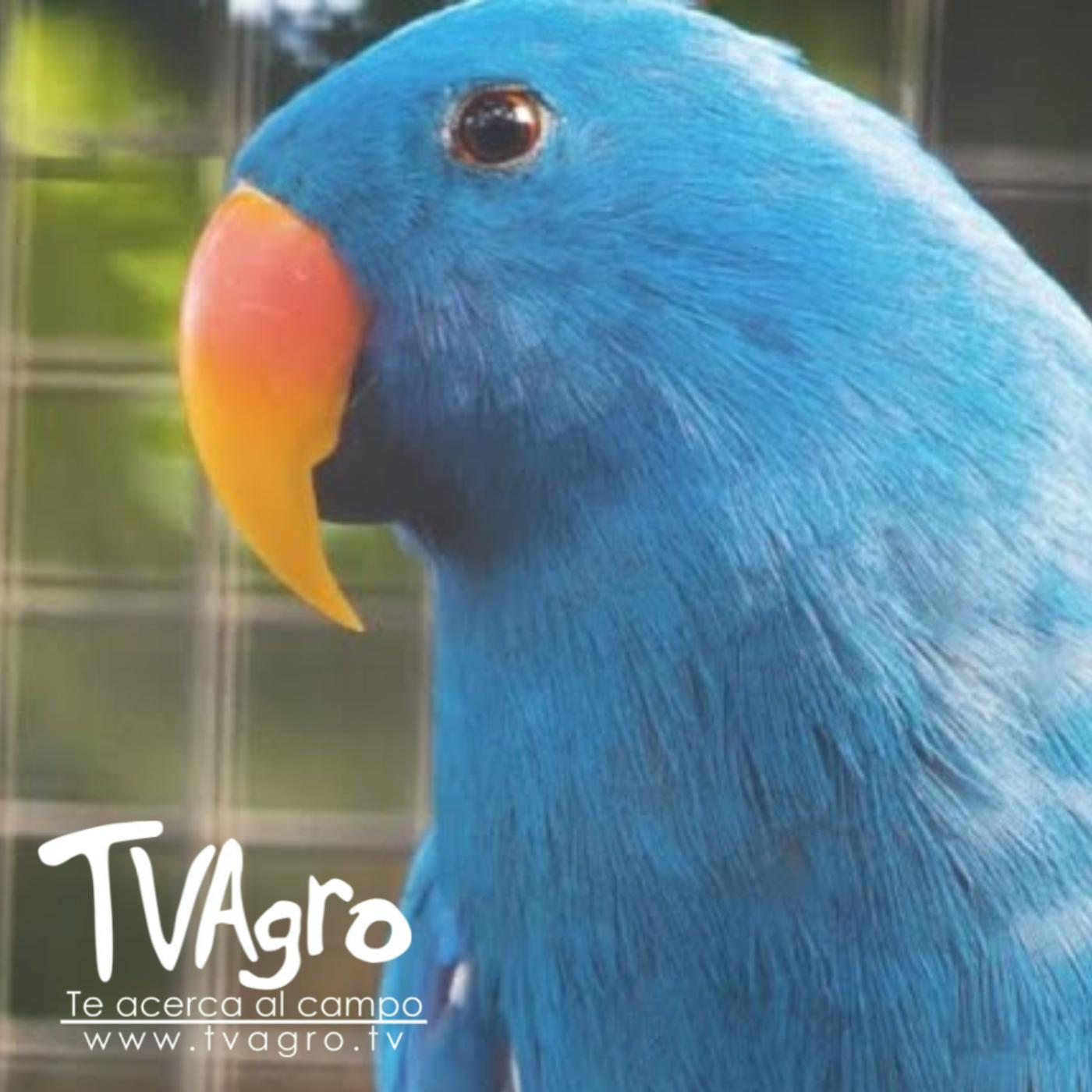 Zoo del Istmo un lugar para la conservación de la vida - Panamá - por ...