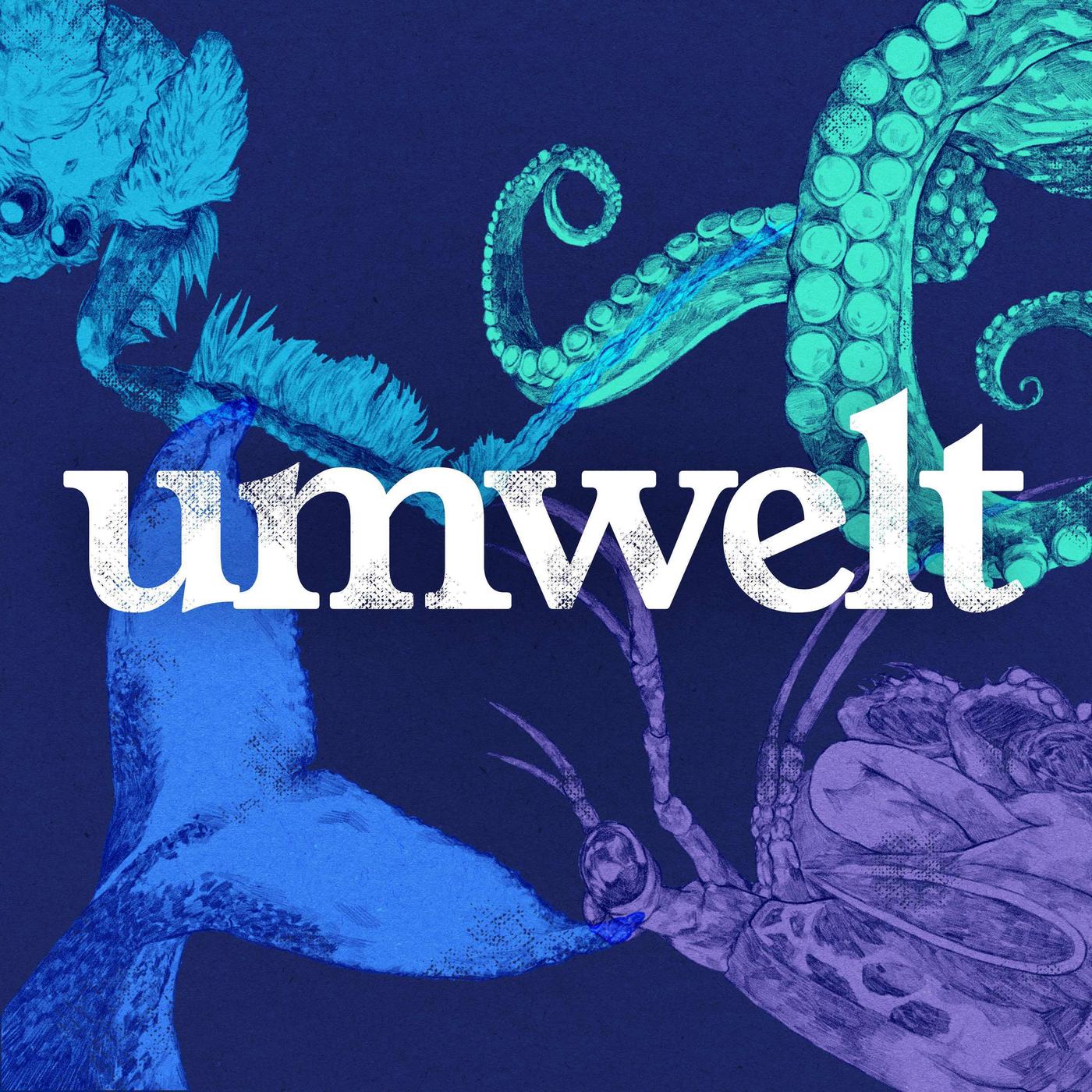 Umwelt (podcast) - Ryan Pemberton | Listen Notes