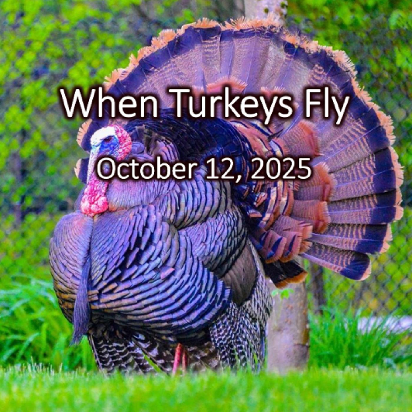 “Oh Mitten Tree: How Warm and Lovely You Are”, Dec 15, 2024 | Listen Notes