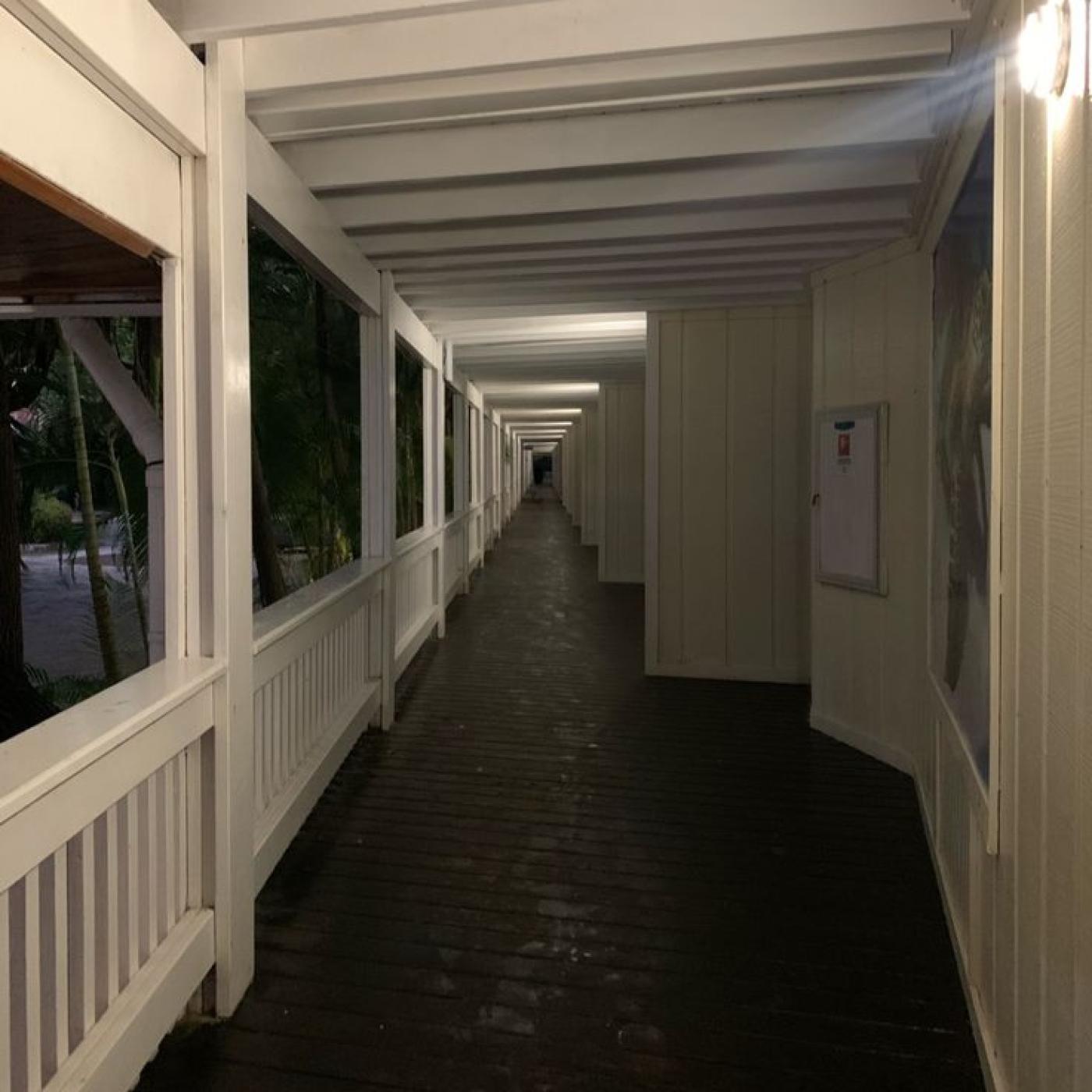 Lana Del Rey - Meet Me In The Pale Moonlight - ☆ UNRELEASED SONGS ...