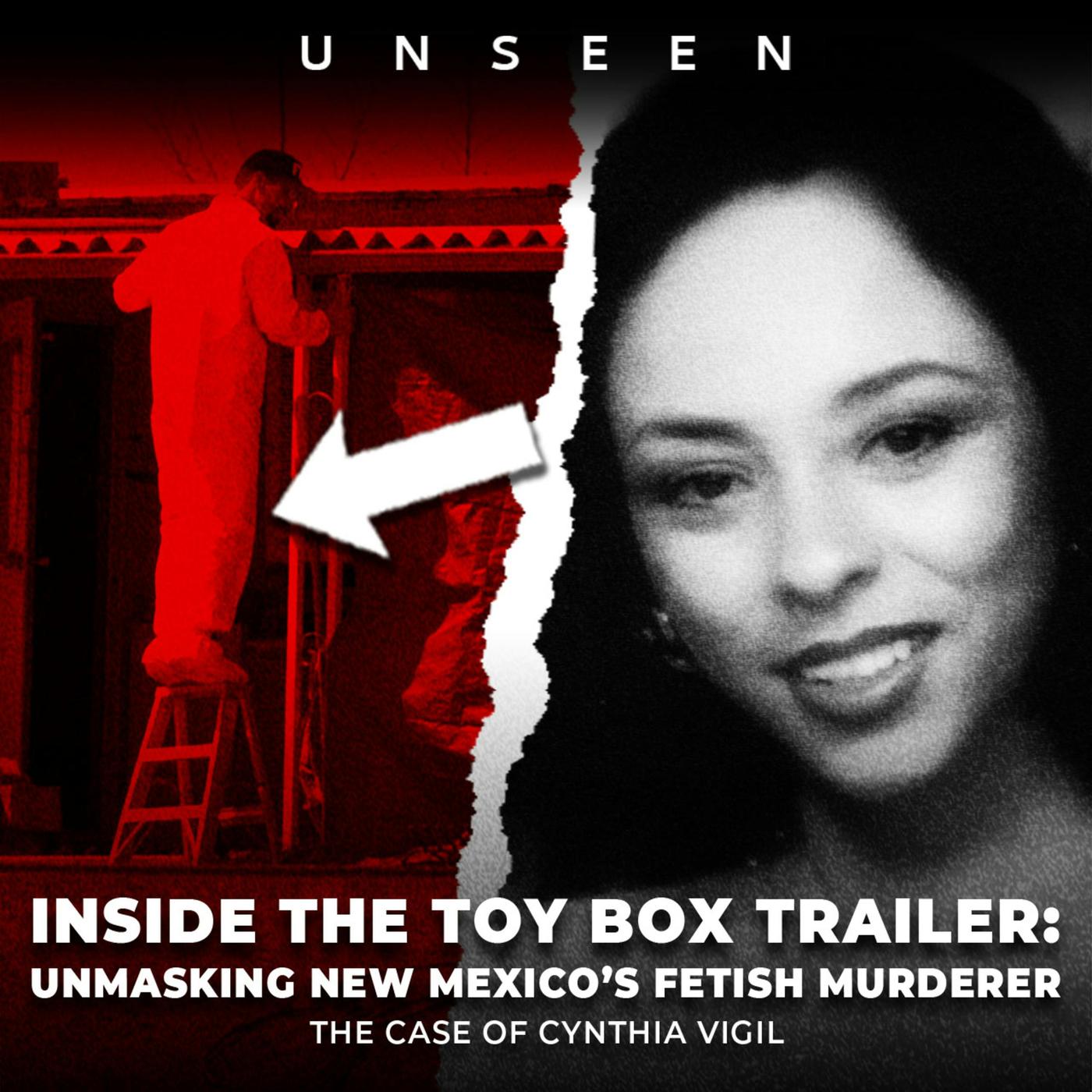 The Y2K Bunkbed Murders | The Case of Krystal Surles | UNSEEN | Listen ...