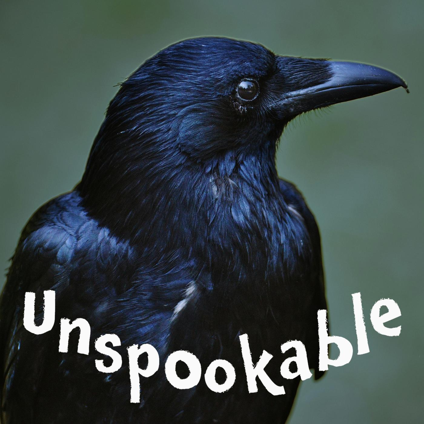 Episode 58: Skibidi Toilet - Unspookable (podcast) | Listen Notes