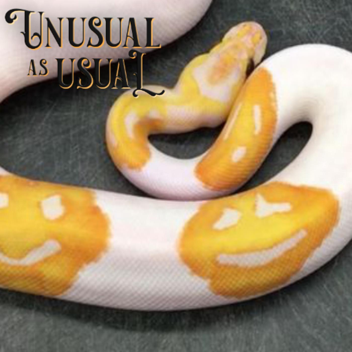 The Enigma That Was Horace Ridler - Unusual As Usual (podcast) | Listen ...