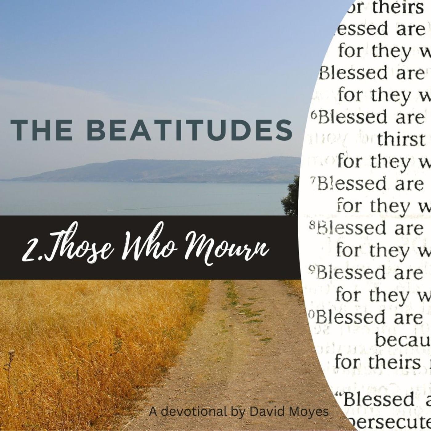 The Beatitudes - 7. The Peacemakers - Van Life Devotions (podcast ...