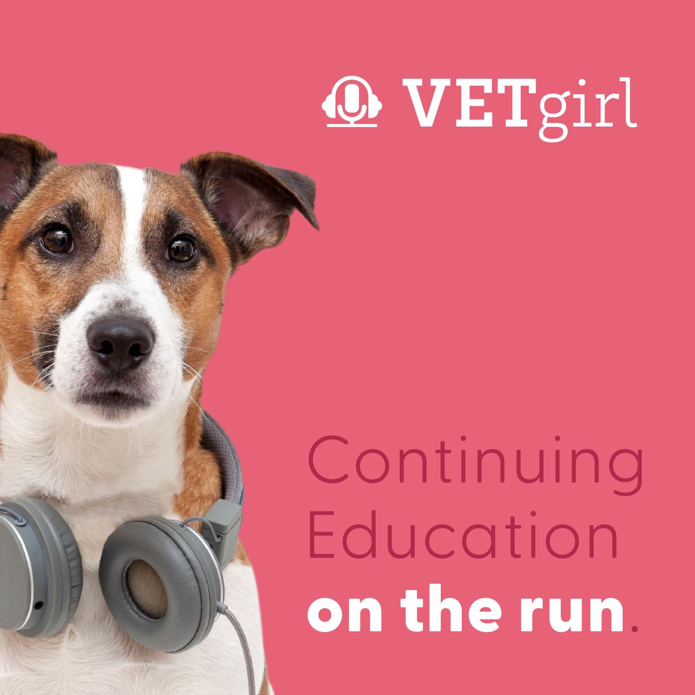 VETgirl Veterinary Continuing Education Podcasts - Dr. Justine Lee ...