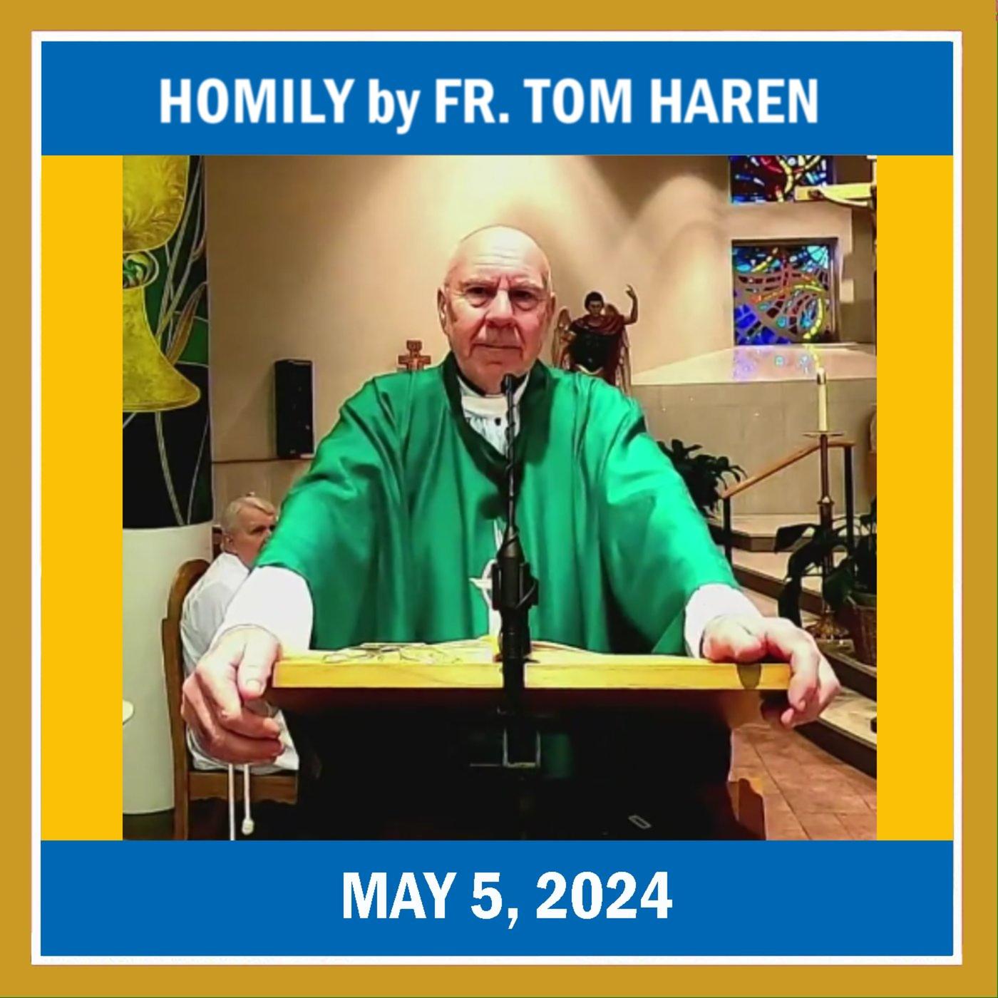 153. Homily by Fr. Tom Haren on June 23, 2024 - Voices of St. Michael ...