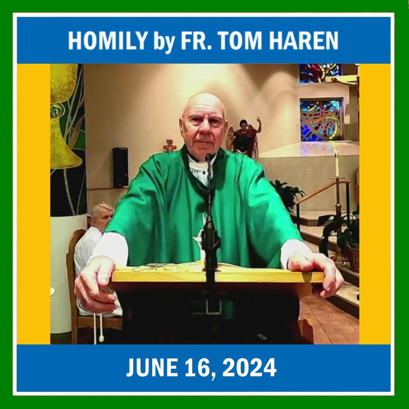 153. Homily by Fr. Tom Haren on June 23, 2024 - Voices of St. Michael ...