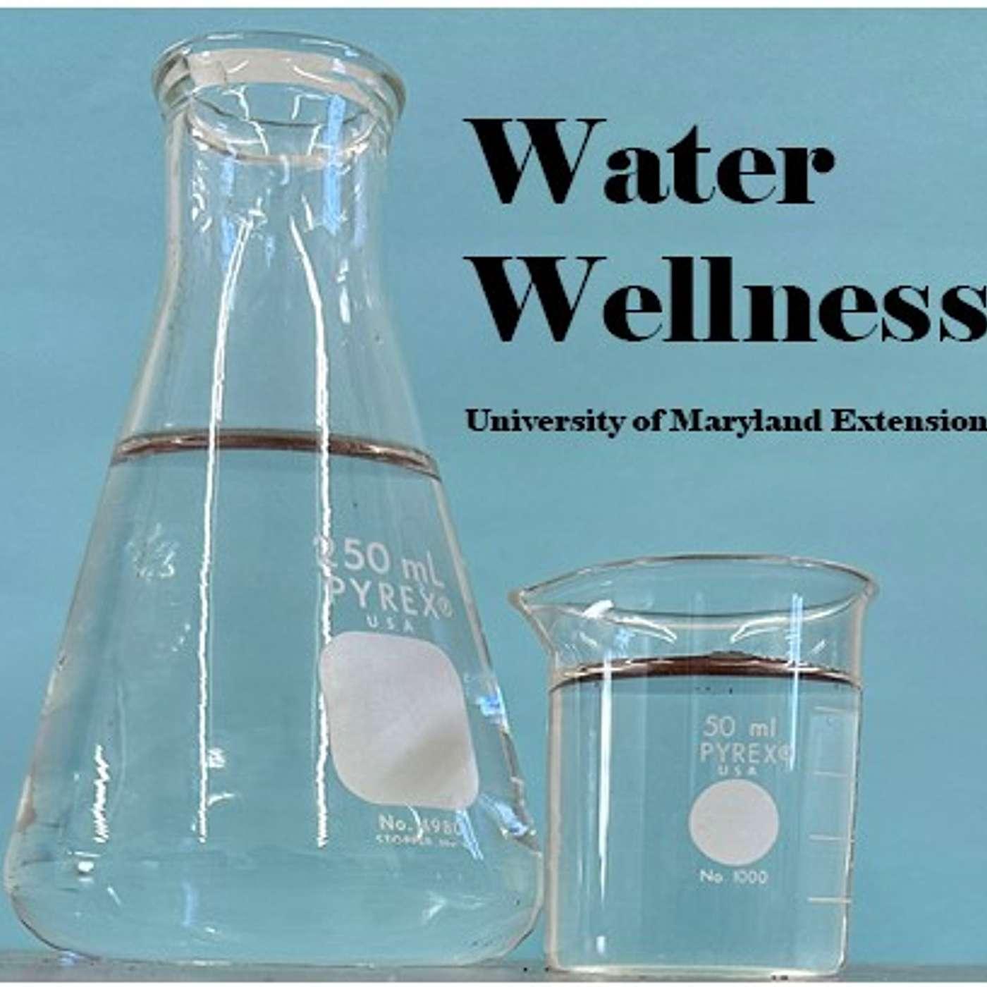 Important Things to Know About Your Septic System - Water Wellness ...