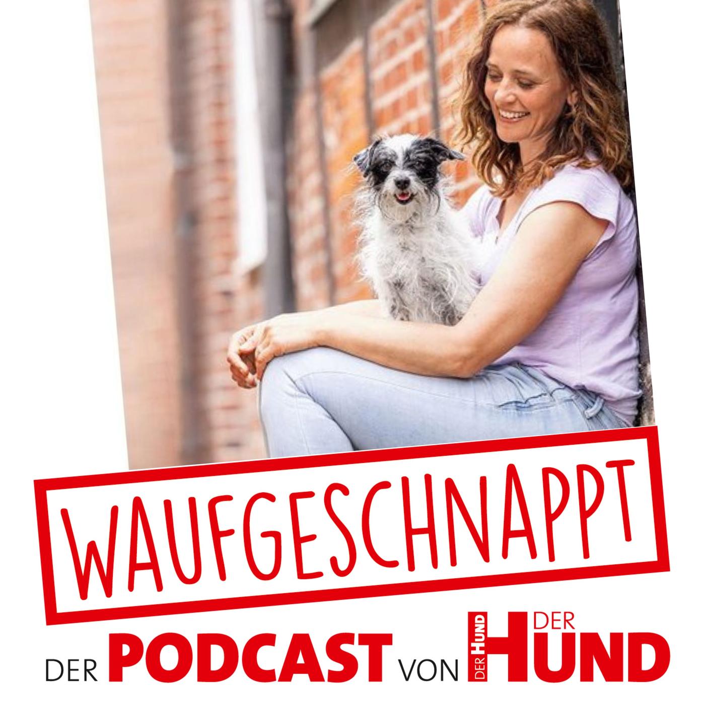 Die 10 Kompetenzen für Hunde - Kate Kitchenham - Waufgeschnappt - der ...