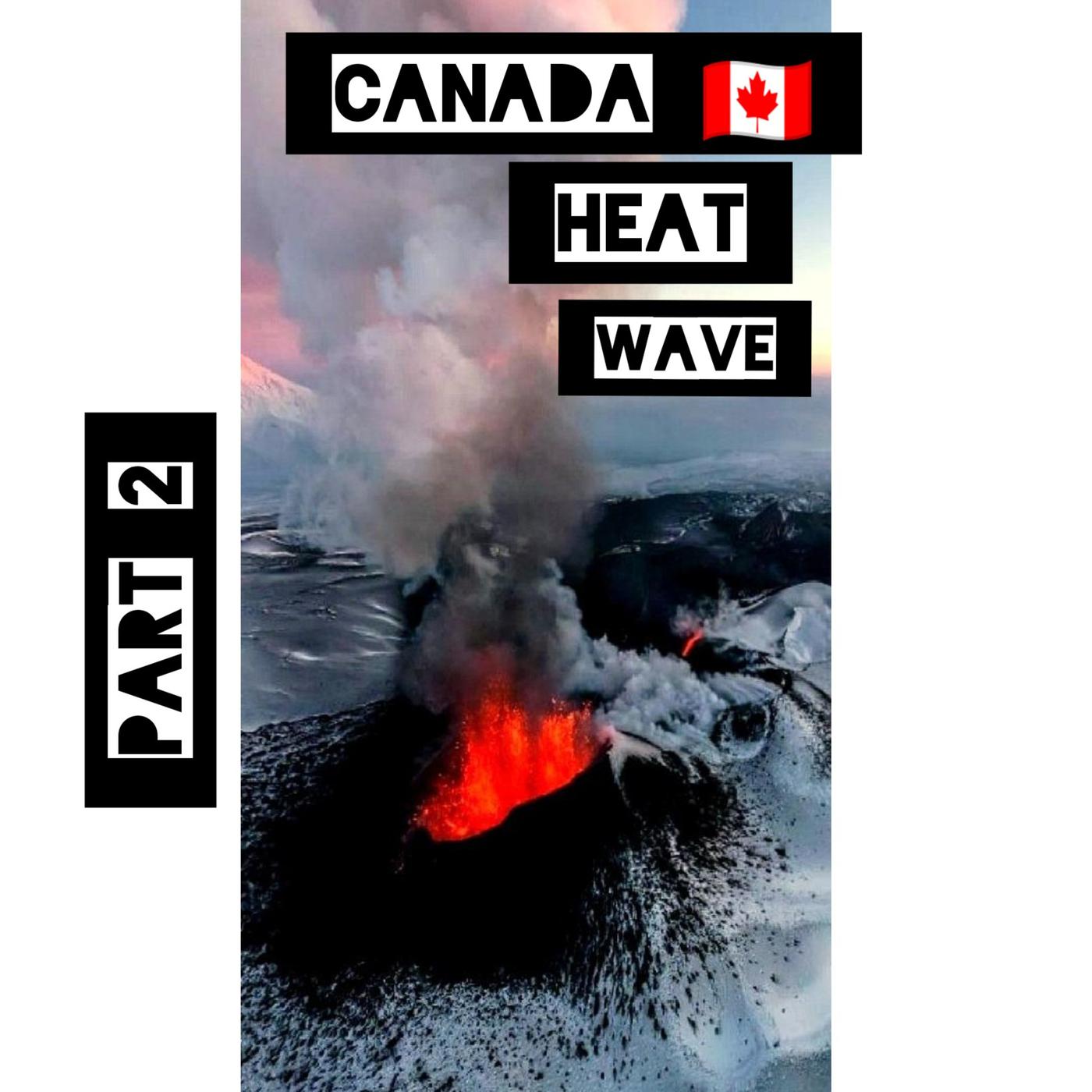 Episode -36 DMH-11 New hybrid variant of Mustard - Wave with Enigma ...