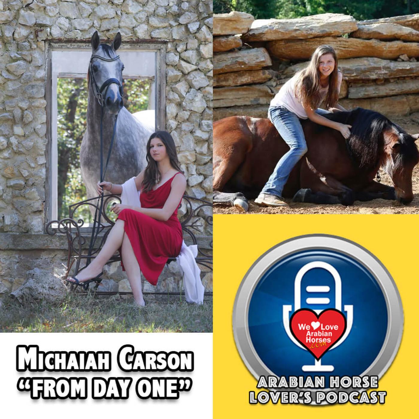 ROSE PARADE 2024 • From Details to Roses - We LOVE Arabian Horses ...