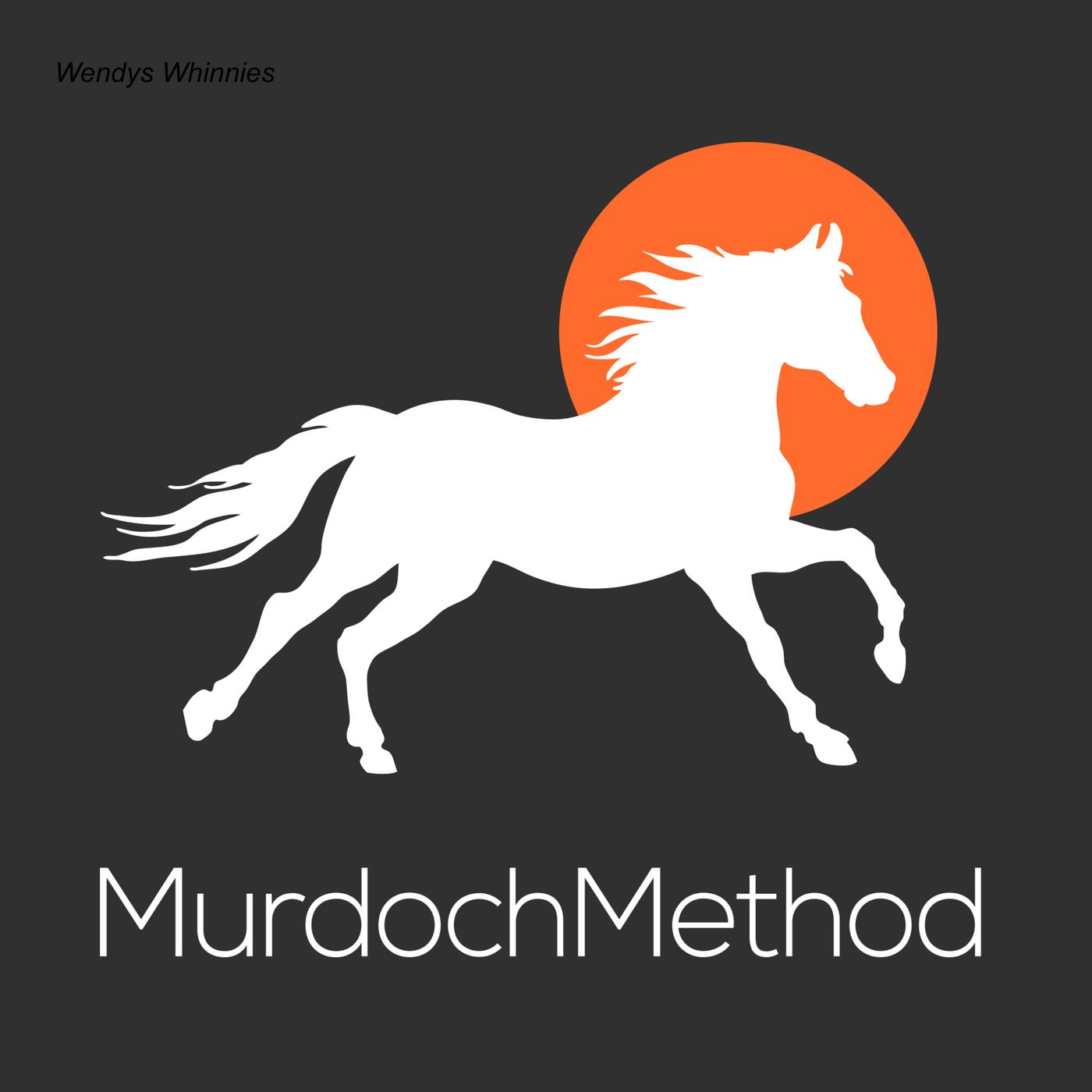 No. 309. Dr. MIchele Broadhurst Myofascial System in Horses | Listen Notes