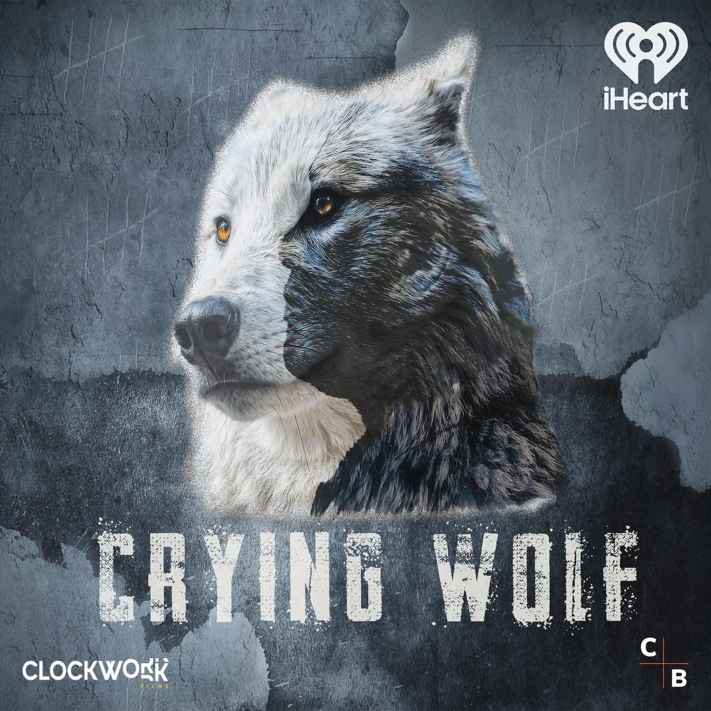Introducing: Crying Wolf - What Happened in Nashville (podcast ...