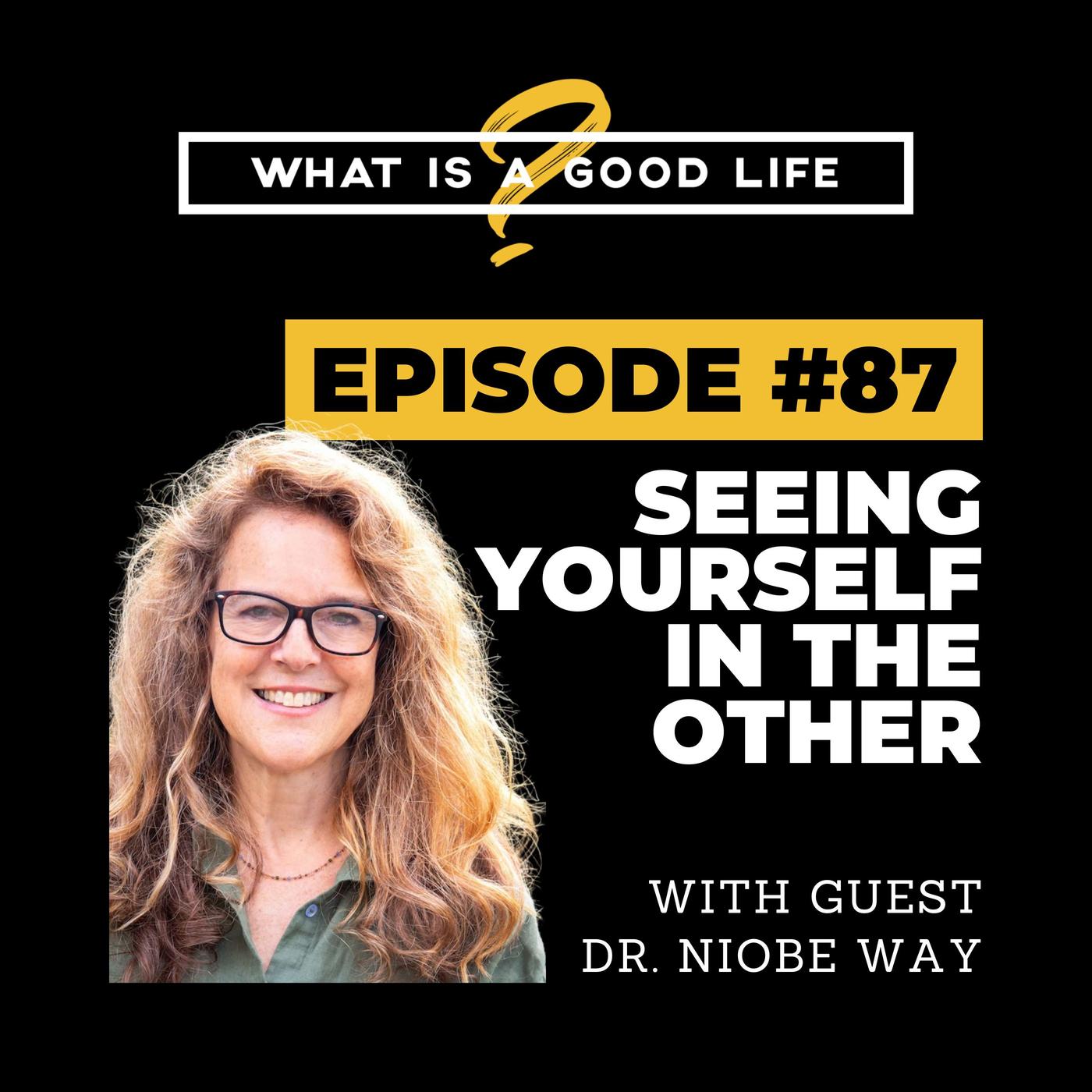 What is a Good Life? #87 - Seeing Yourself In The Other with Dr. Niobe ...