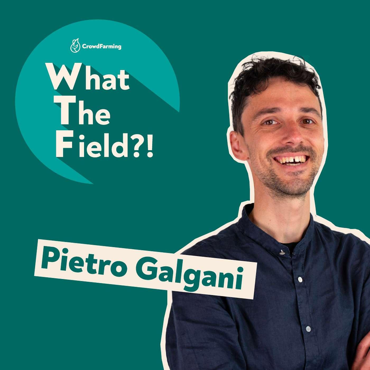 Real or fake price tag? A deep dive into the true cost of food with ...