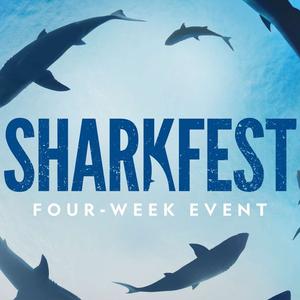 SharkFest 2024 Lineup Announced For National Geographic, Hulu & Disney+ ...