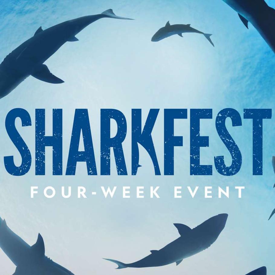 SharkFest 2024 Lineup Announced For National Geographic, Hulu & Disney+ ...