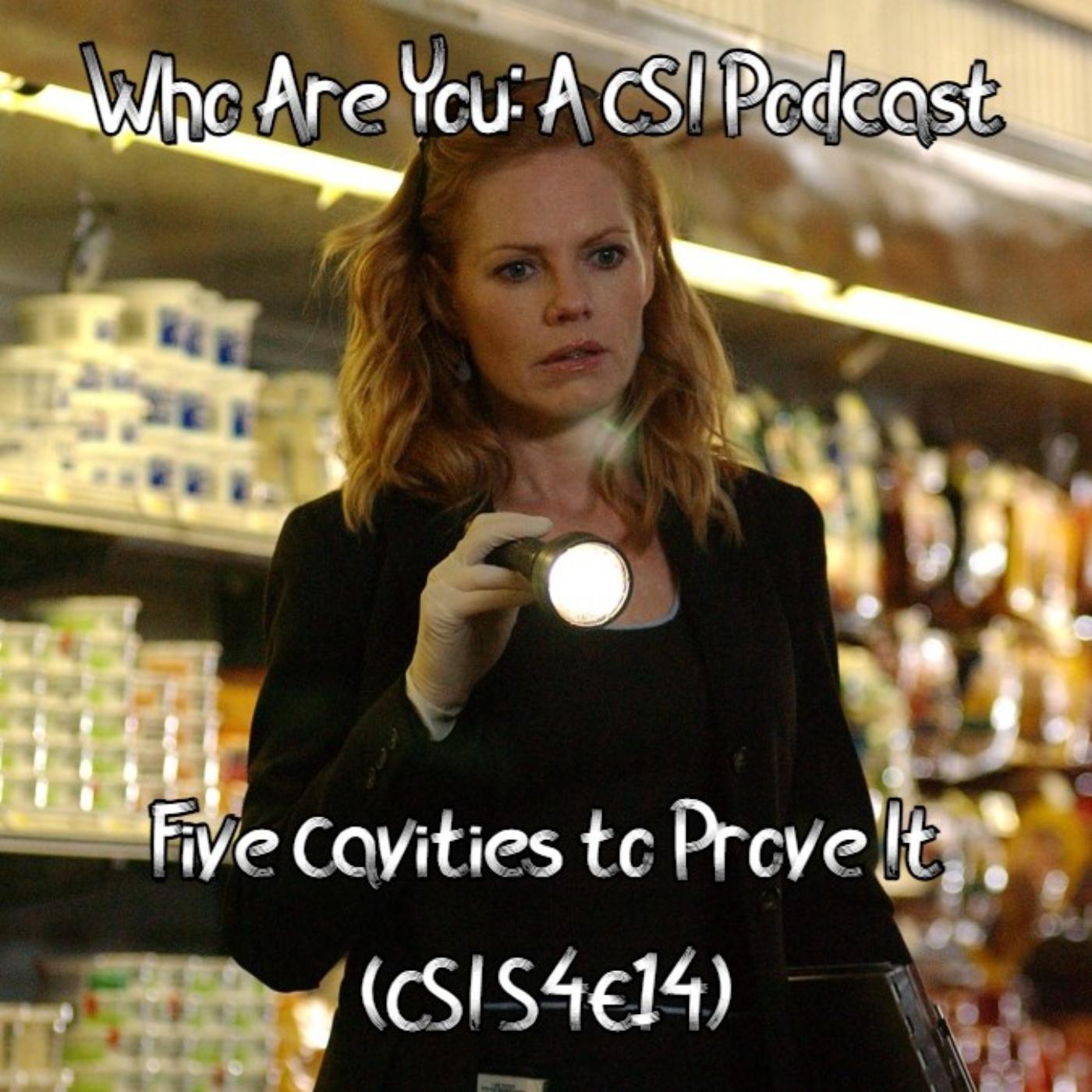 Five Cavities to Prove It (CSI S4E14) - Who Are You: A CSI Podcast ...