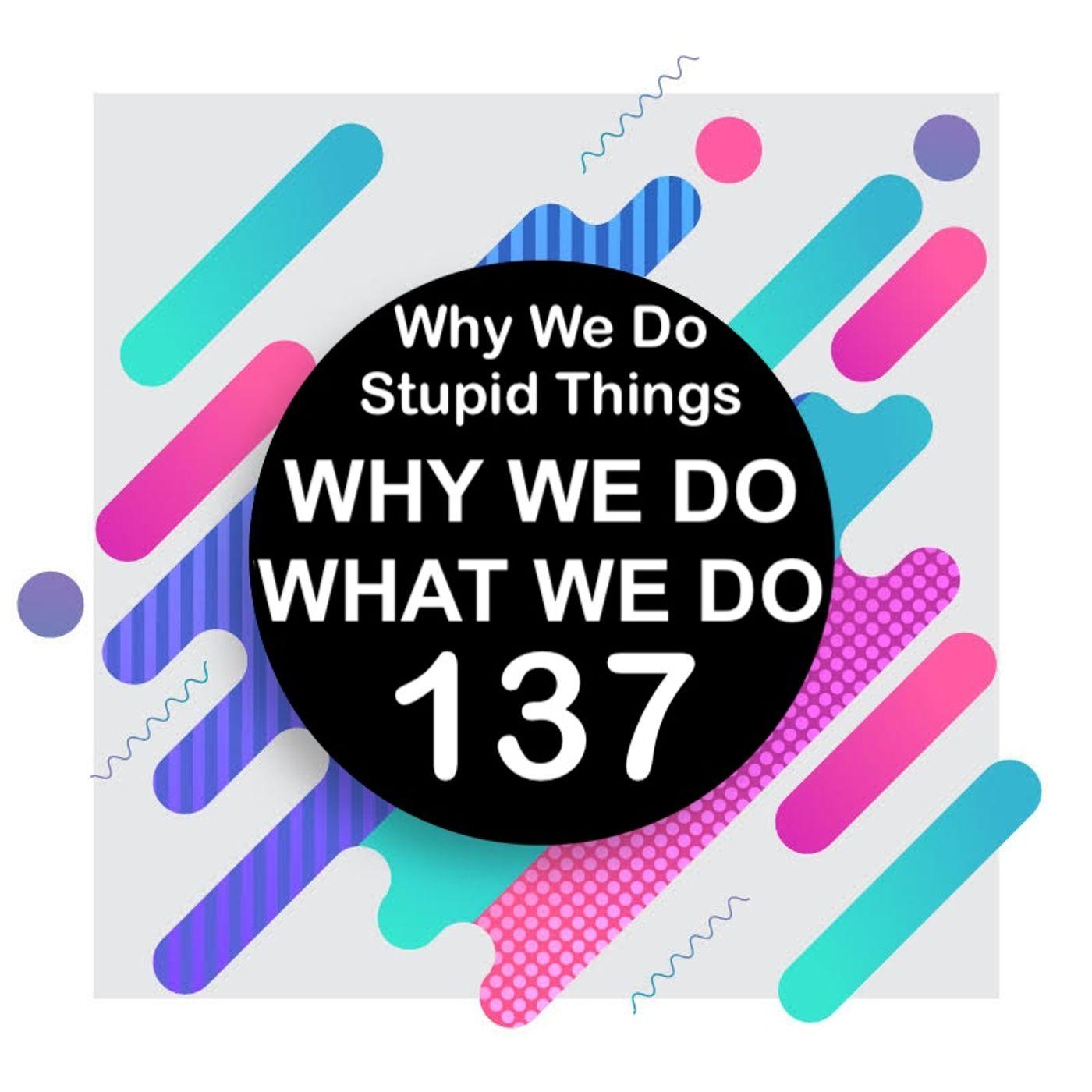 137 | Why People Do Stupid Things (Part 1) | Why We Do What We Do ...