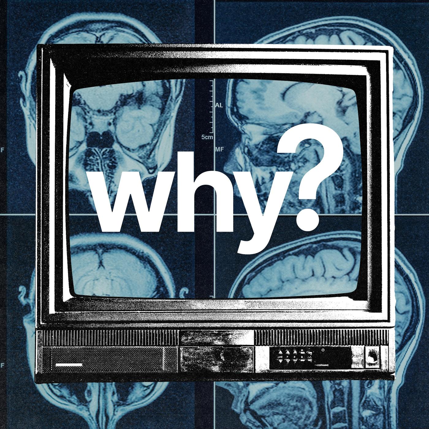 Why do we remember things that never happened? - Why? with Emma Kennedy ...