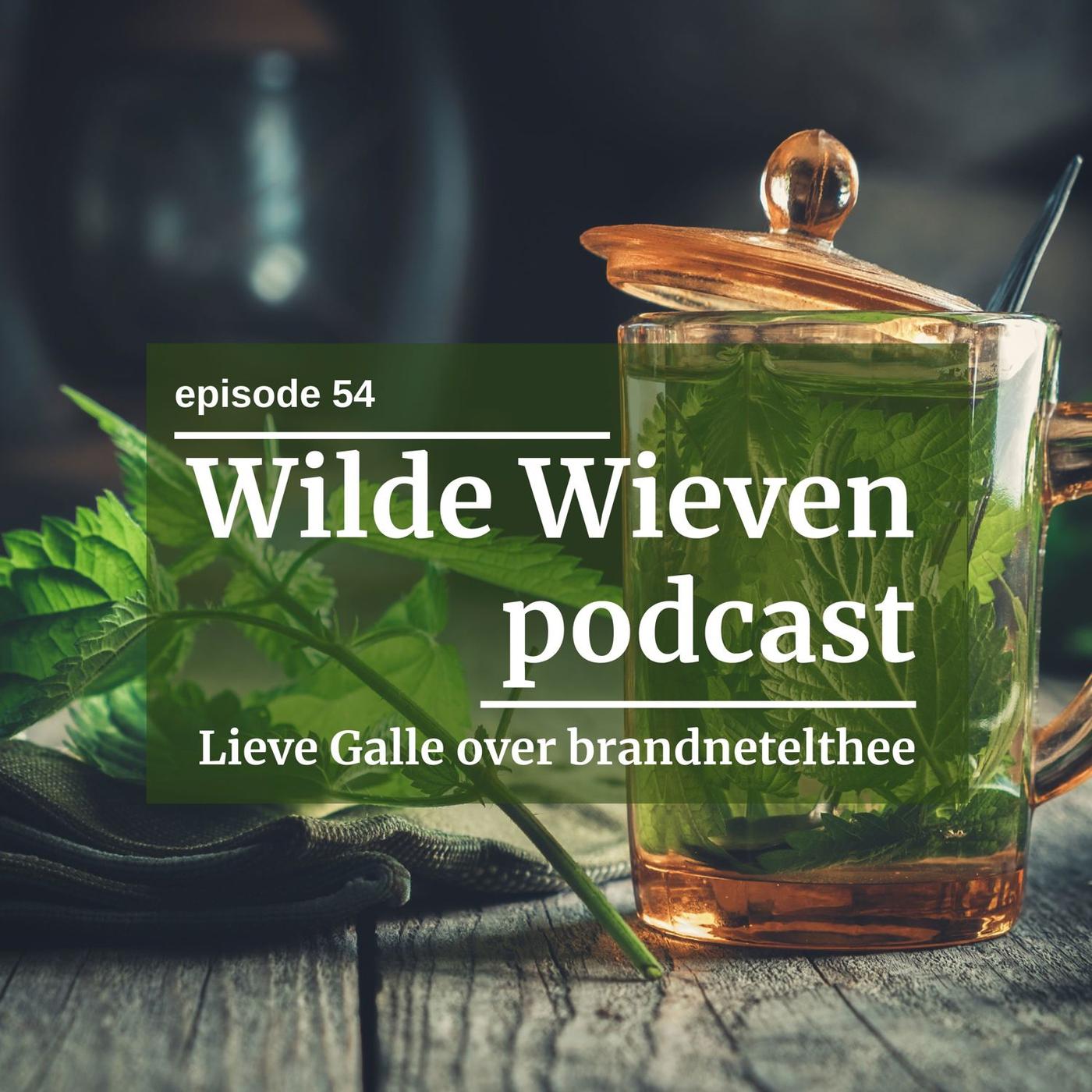 #54 Brandnetelthee: gezond én lekker - Wilde Wieven, dé podcast over ...