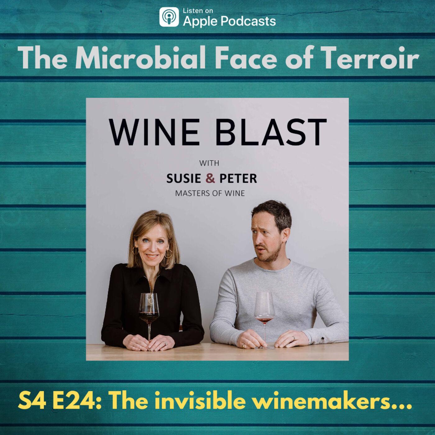 The Microbial Face of Terroir - Wine Blast with Susie and Peter ...