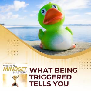 What Being Triggered Tells You - Winning Mindset Mastery (podcast ...