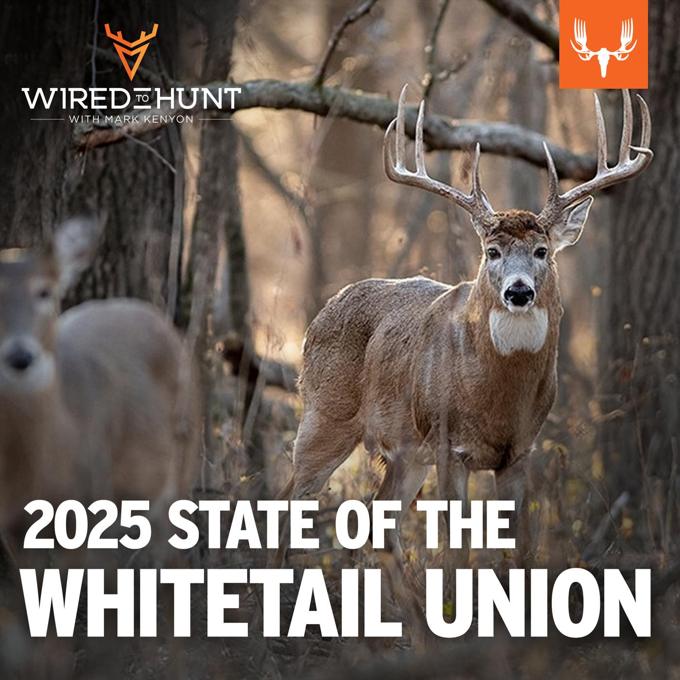 Ep. 884: 2025 State of the Whitetail Union with Nick Pinizzotto and ...