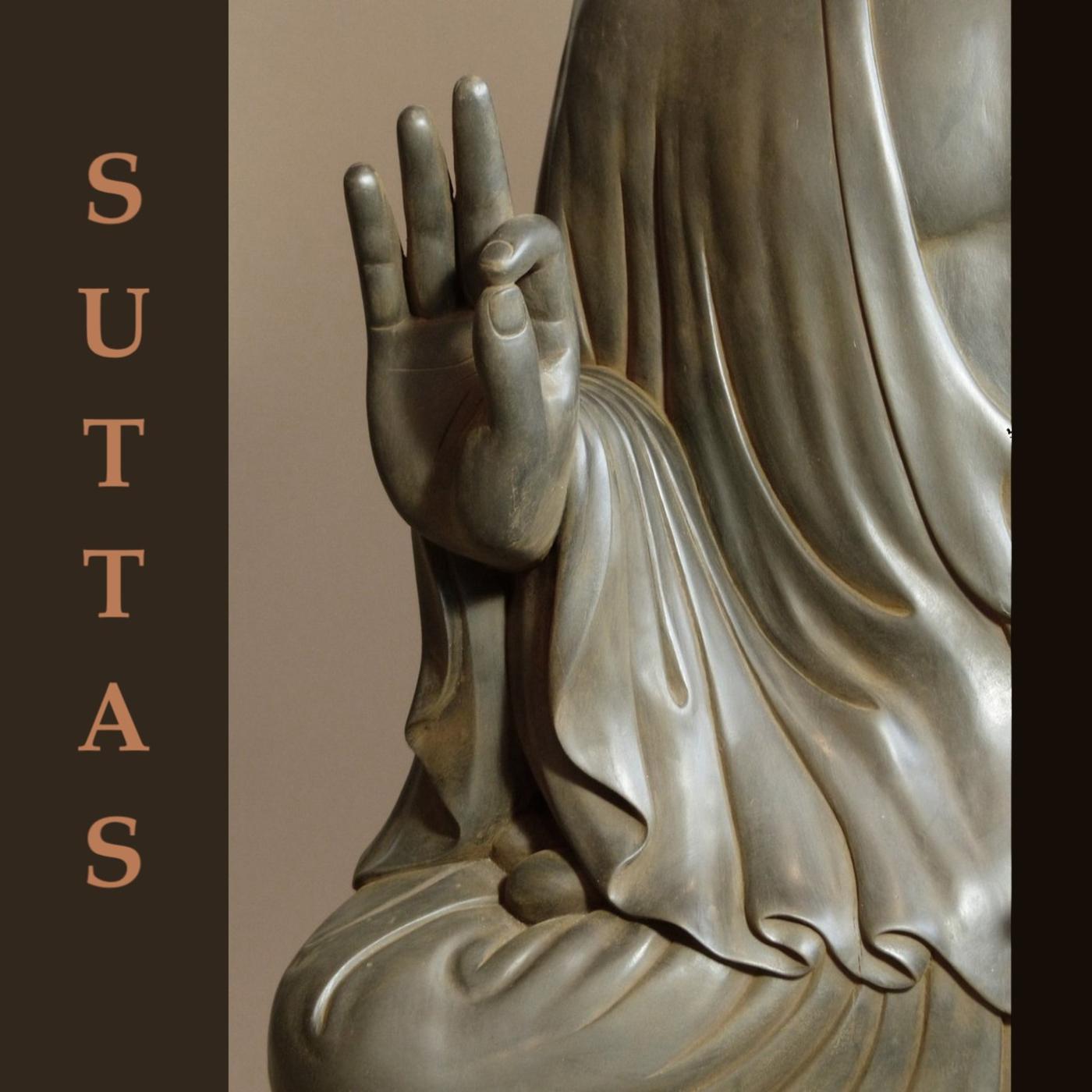 Wisdom of the Masters (podcast) - Samaneri Jayasara | Listen Notes