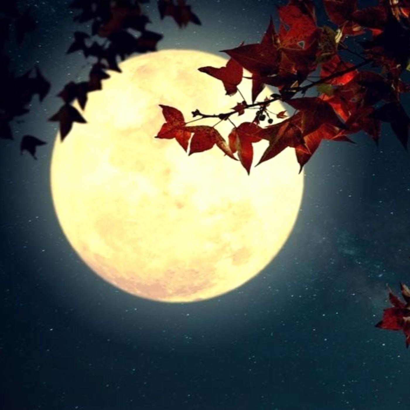 Song of the Grass-Roof Hermitage - Shitou Xiqian - Sekito Kisen - Zen ...