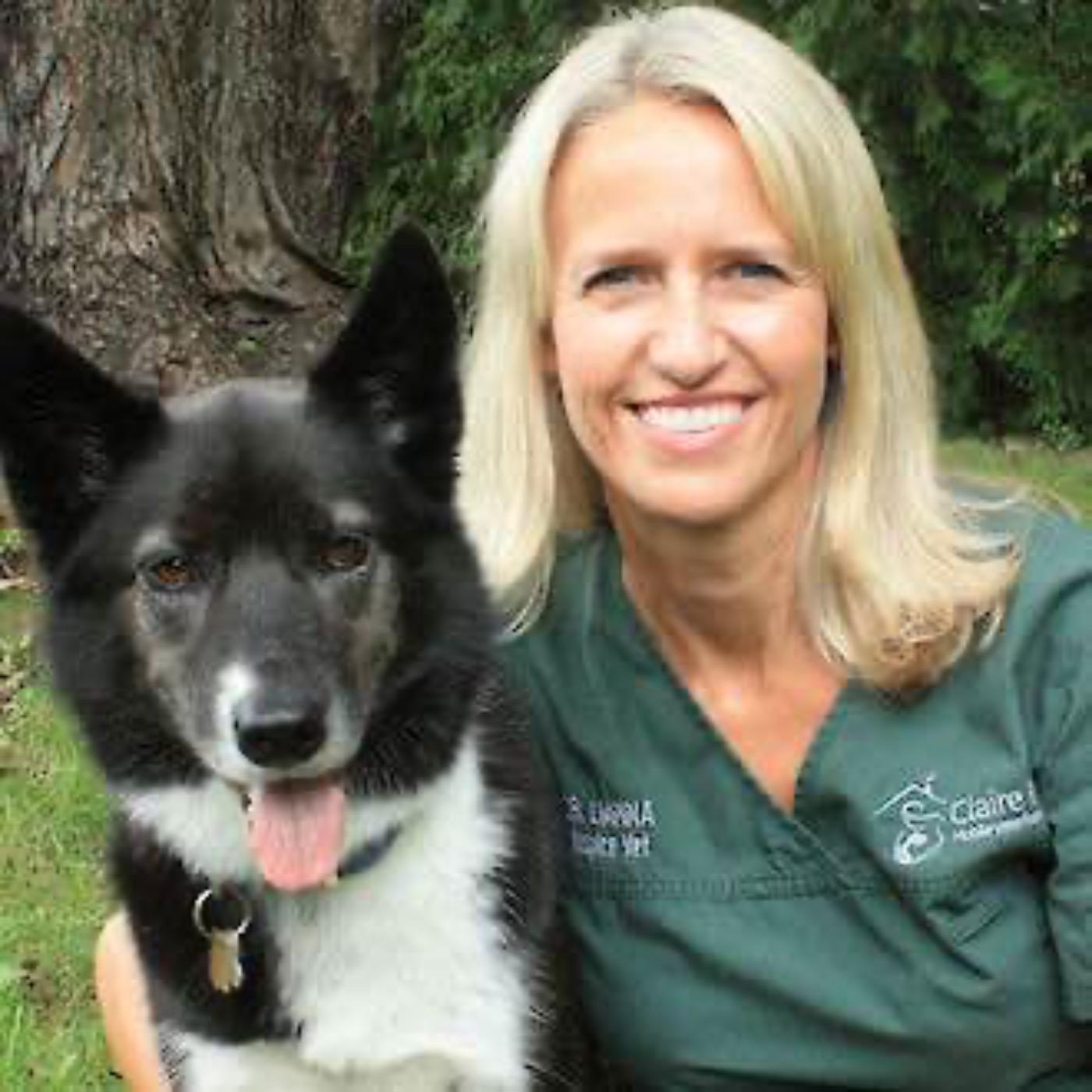 Dr. Jenn from Sage Paws - Wolfie's Wish Pet Loss Pawdcast with Erica ...