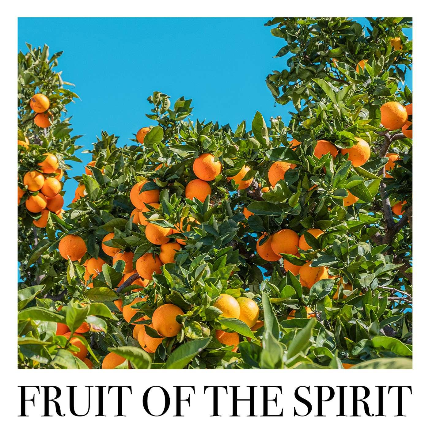 The Fruit of the Spirit - Wonder Church (podcast) | Listen Notes