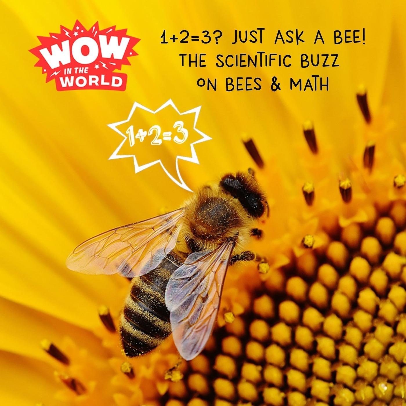 1+2=3? Just Ask A BEE! - The Scientific Buzz On Bees & Math | Listen Notes