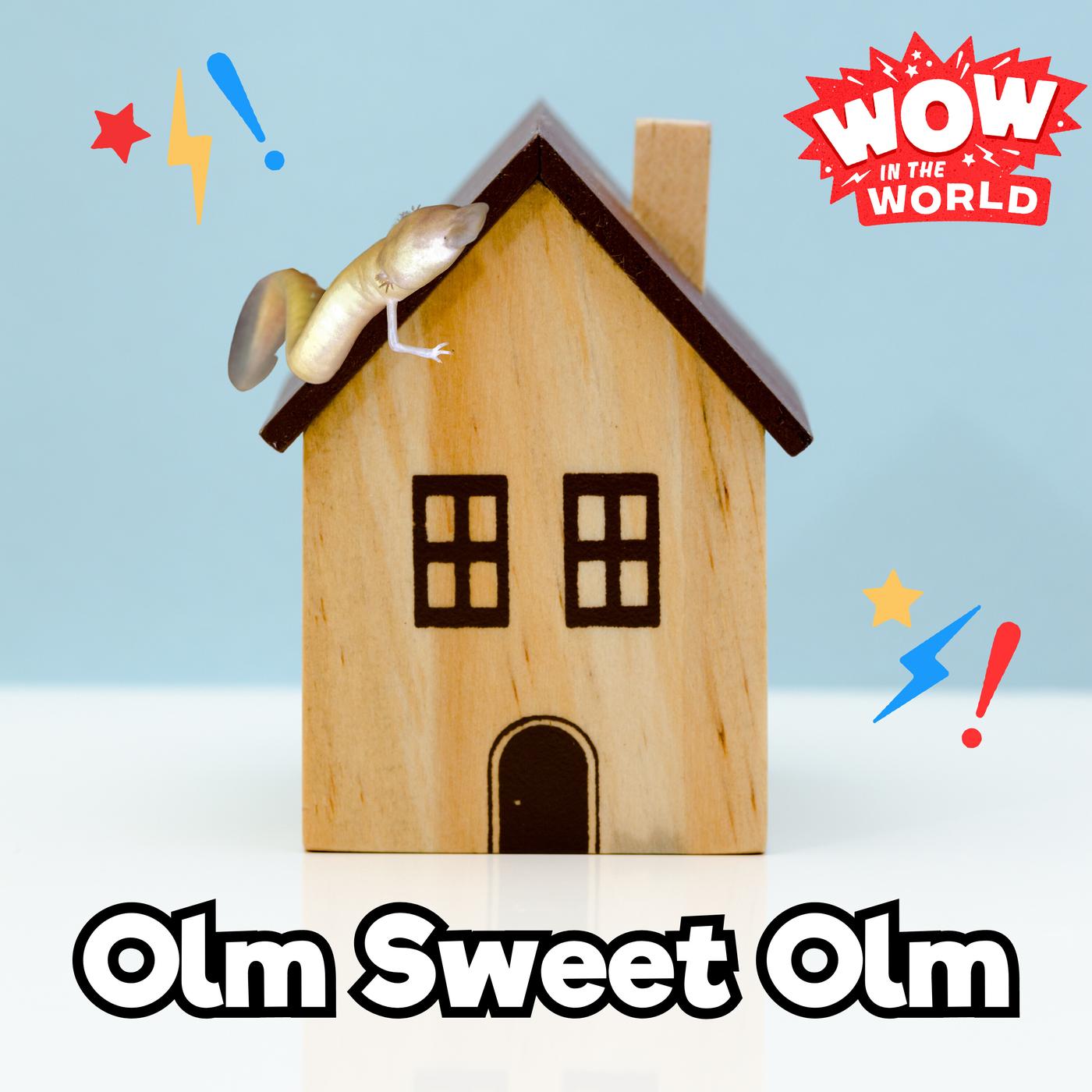 Olm Sweet Olm: A Burping Baby Dragon (5/13/24) - Wow in the World ...