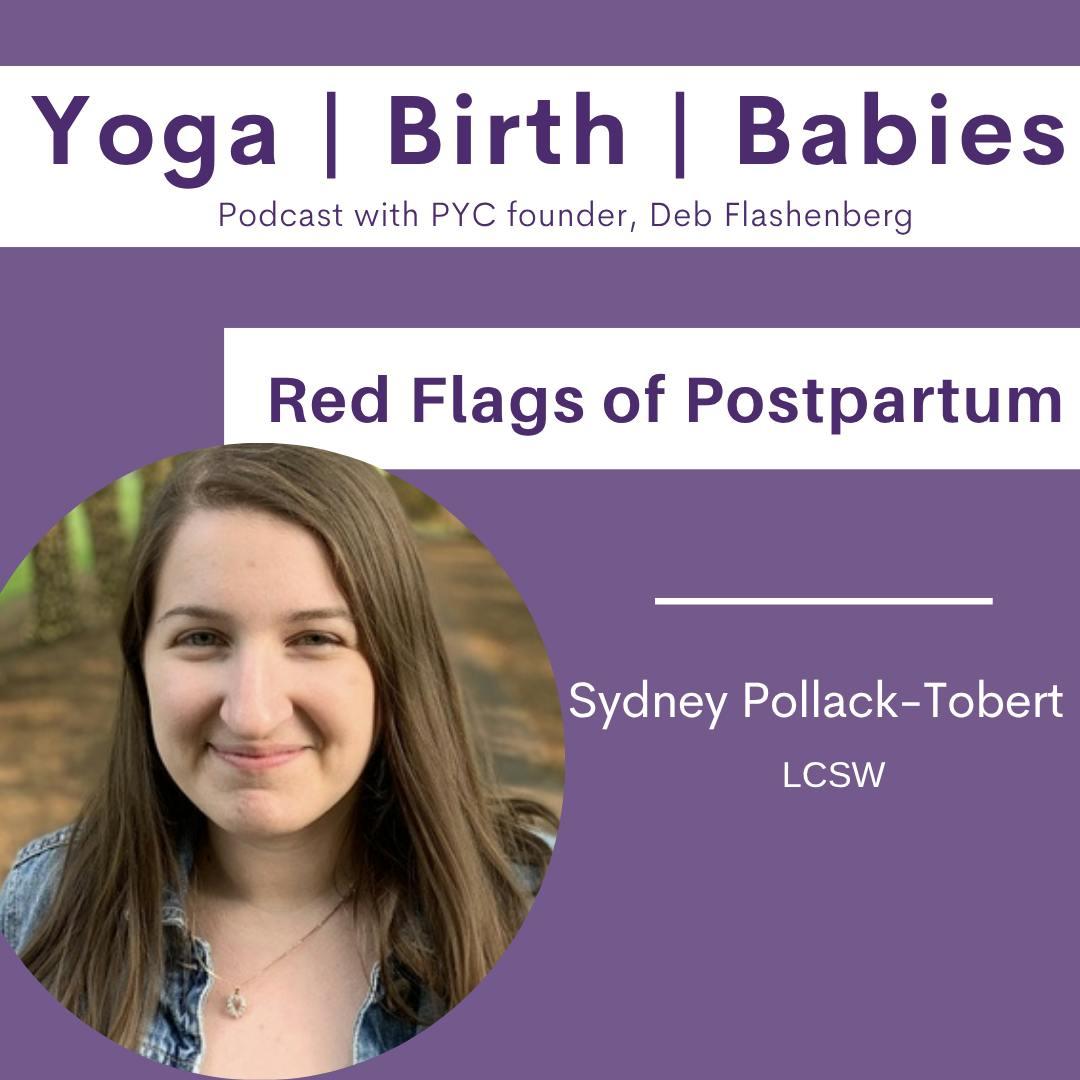 Birth Team Do's, Don'ts, and Red Flags with Sarah Lavonnne RNC-OB, ICCE ...