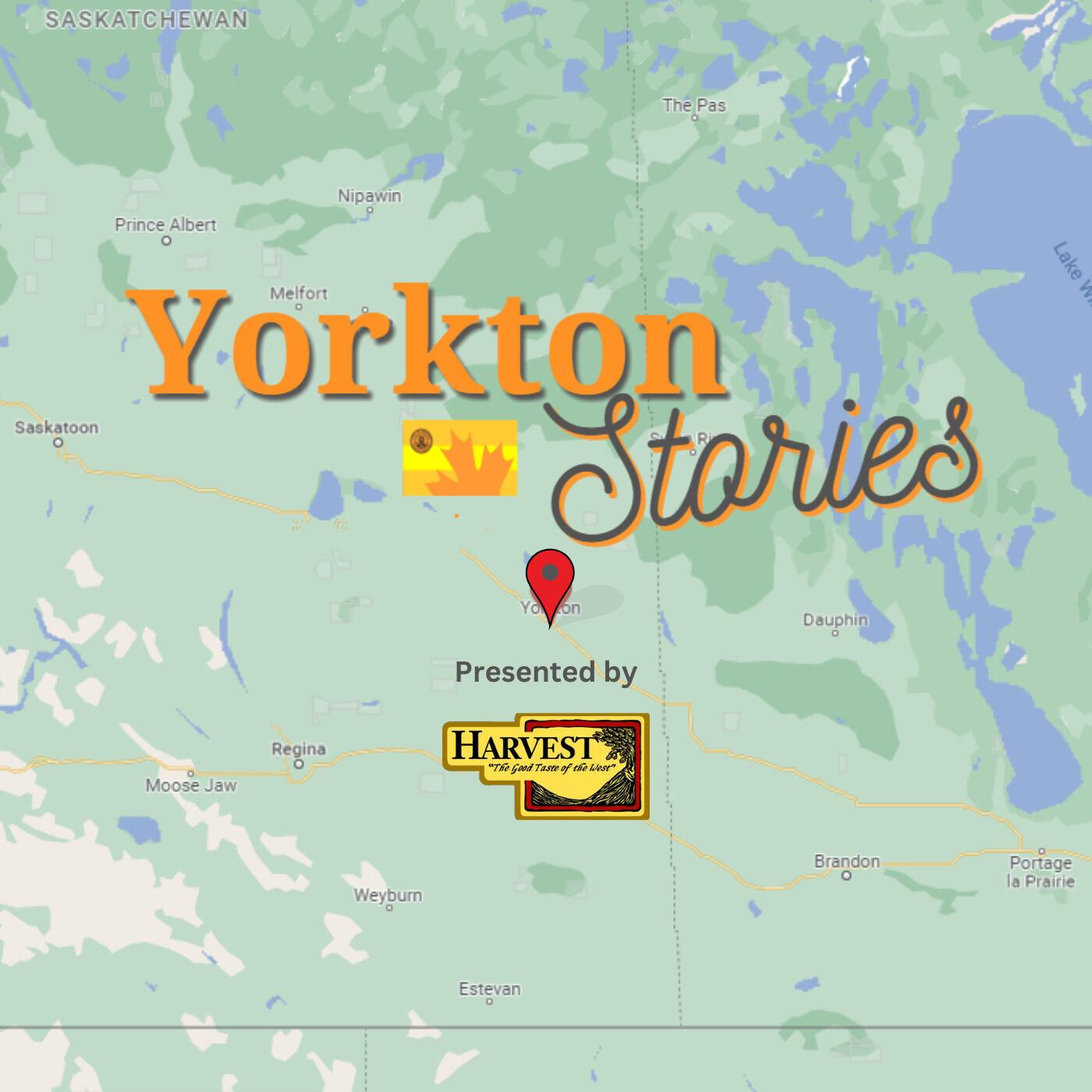 Perry Ehrlich: the lawyer who has them singing and dancing | Listen Notes